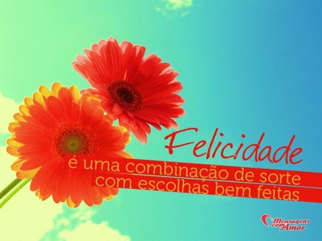 Frases sobre Sorte. E você, tem sorte?