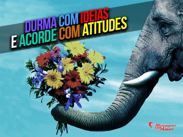 Frases Para Compartilhar Nas Redes Sociais