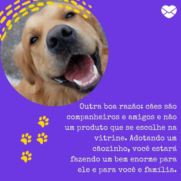 Adote um amigo. Saiba por que você deve fazer isso!