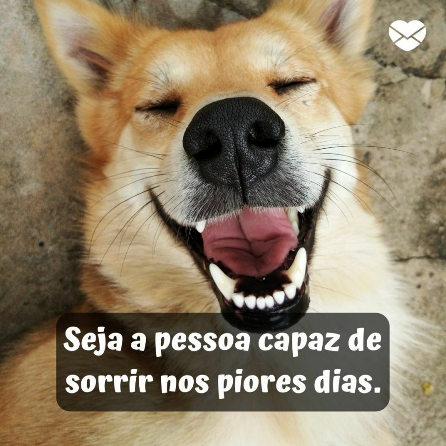 10 frases que demonstram a importância de sorrir. Envie-as!