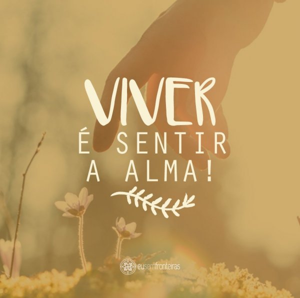 10 Frases Sobre Viver Melhor O Que Importa Nessa Vida é A Felicidade