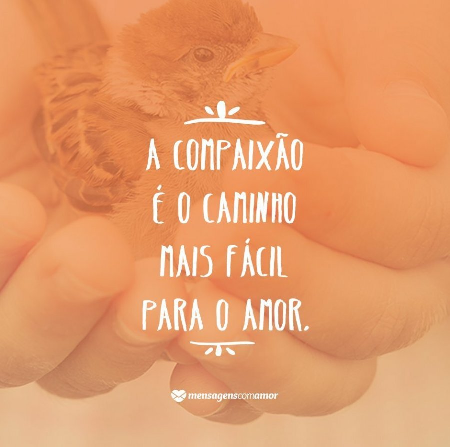 Motivos para ter compaixão. Compartilhando positividade.