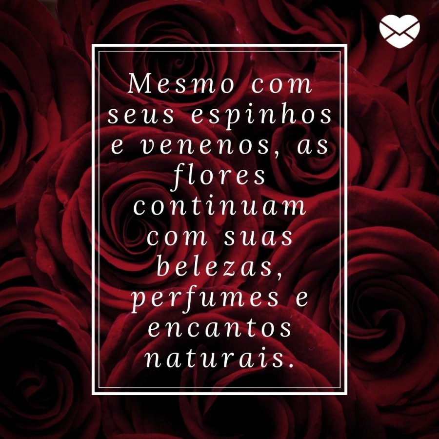 Legendas para fotos de flores. Mais cor nas redes sociais!