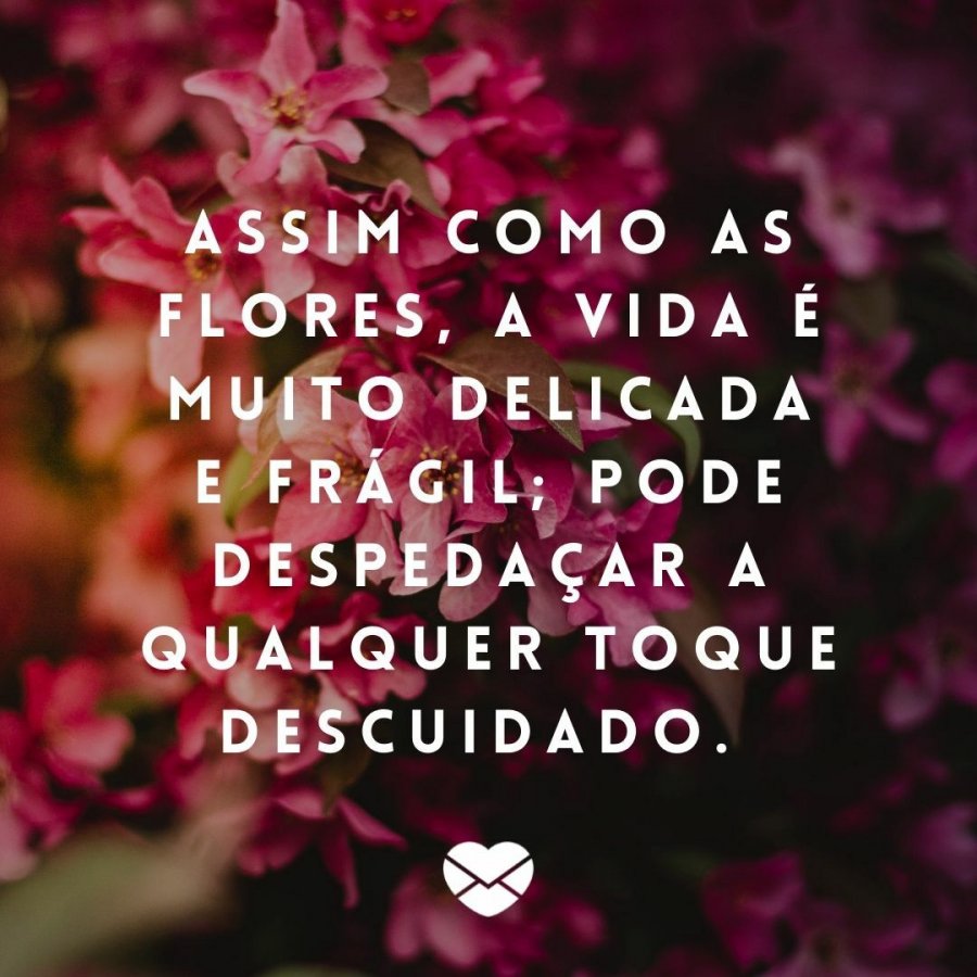 Legendas para fotos de flores. Mais cor nas redes sociais!