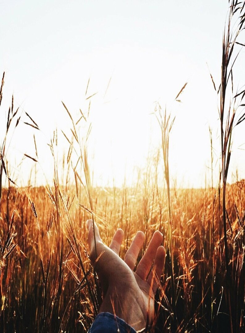 Especial Dia do Sol: celebre o que traz luz aos nossos dias!