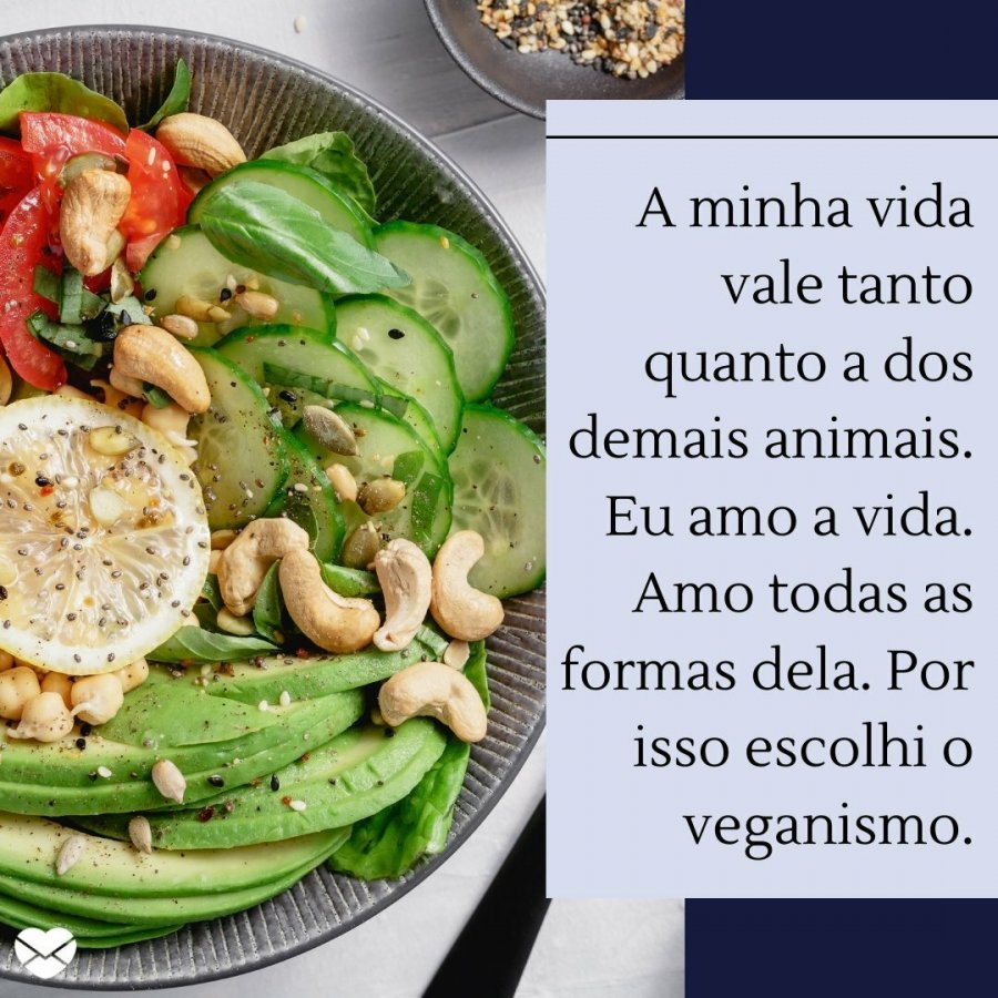 Frases veganas para Instagram: influencie seus seguidores!