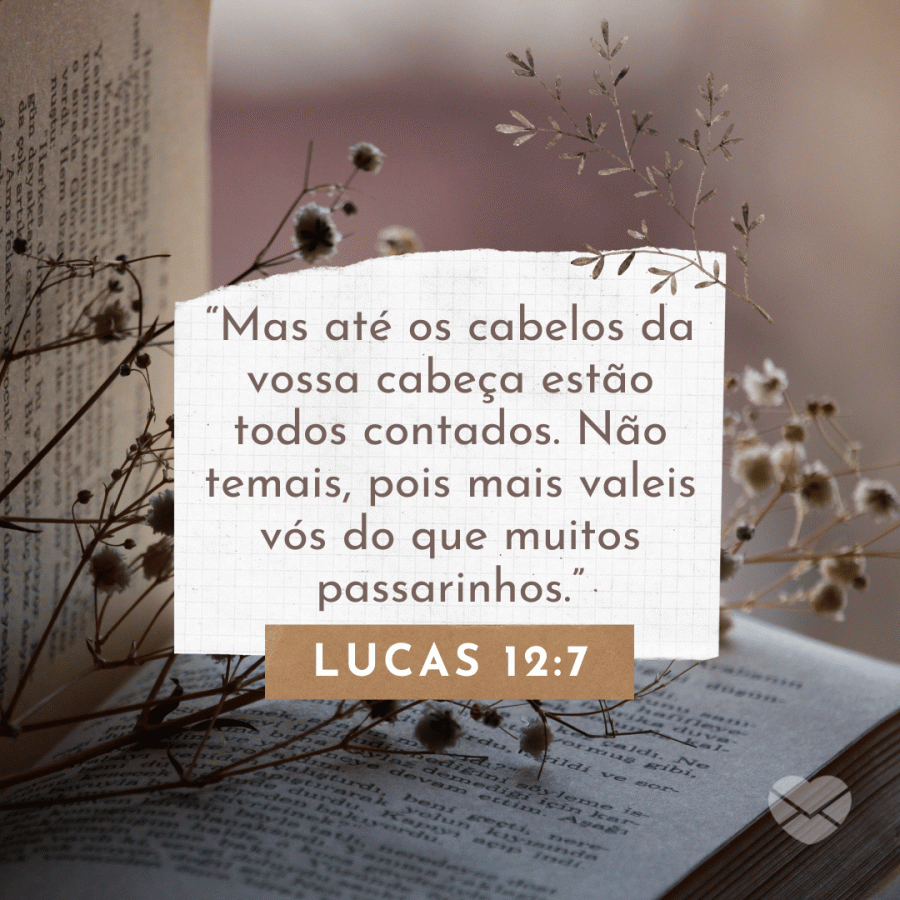 O que se comemora no dia 12 de julho?
