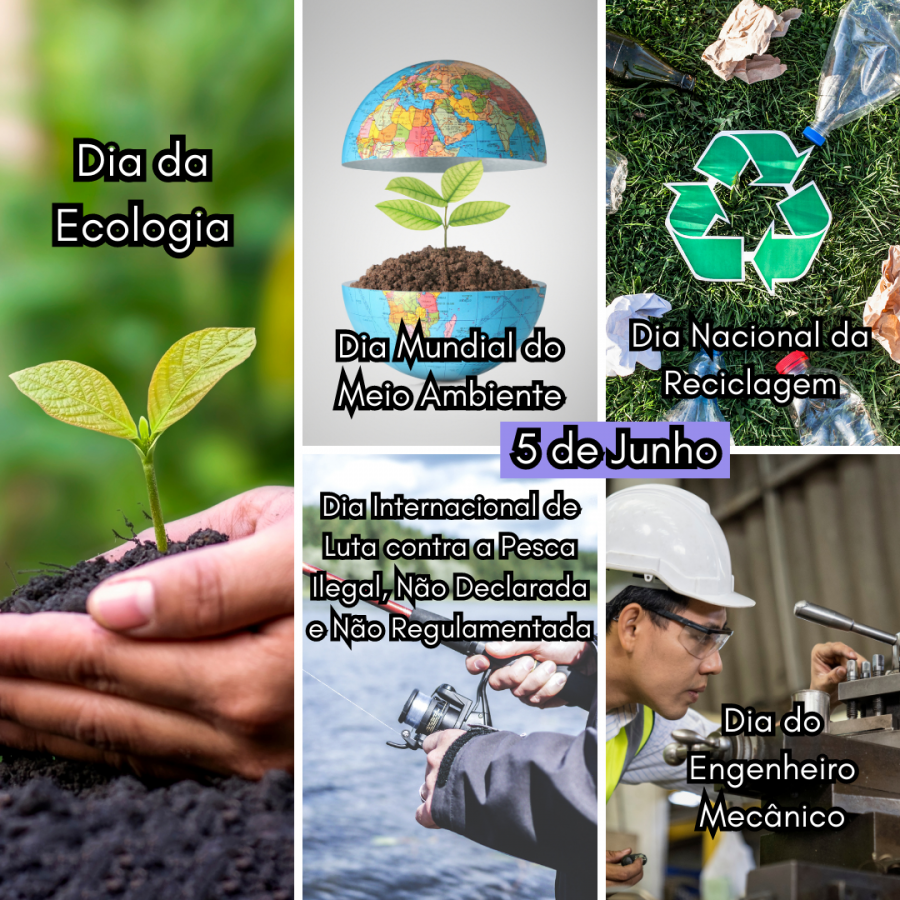 O que se comemora no dia 5 de junho?