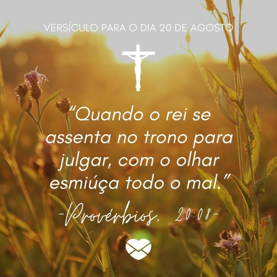 O que se comemora no dia 20 de agosto?