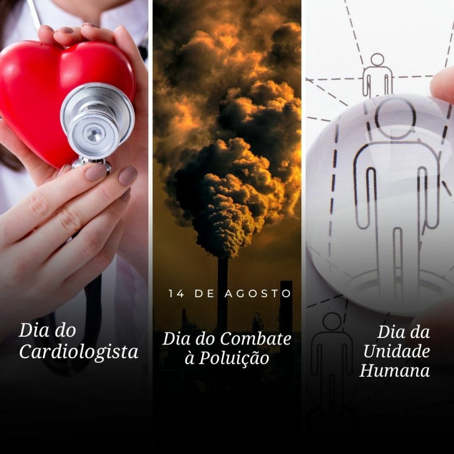 O que se comemora no dia 14 de agosto?