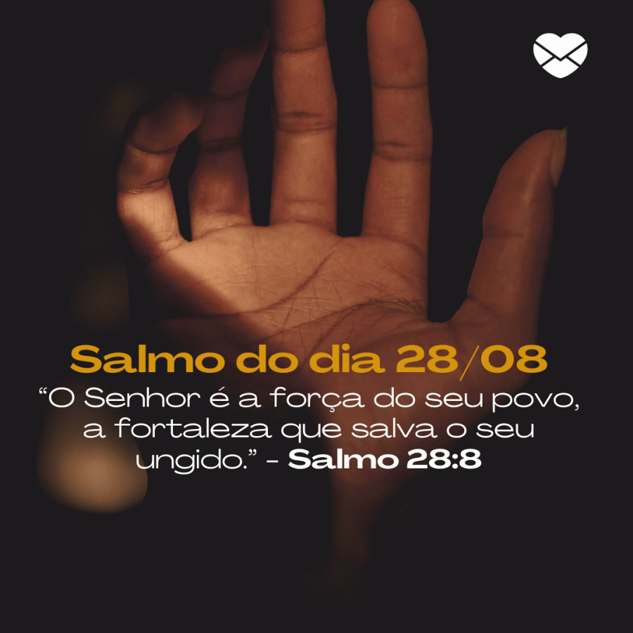 O que se comemora no dia 28 de agosto?