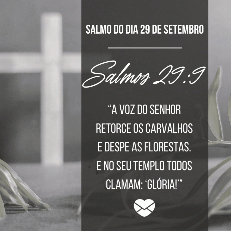 O que se comemora no dia 29 de setembro?