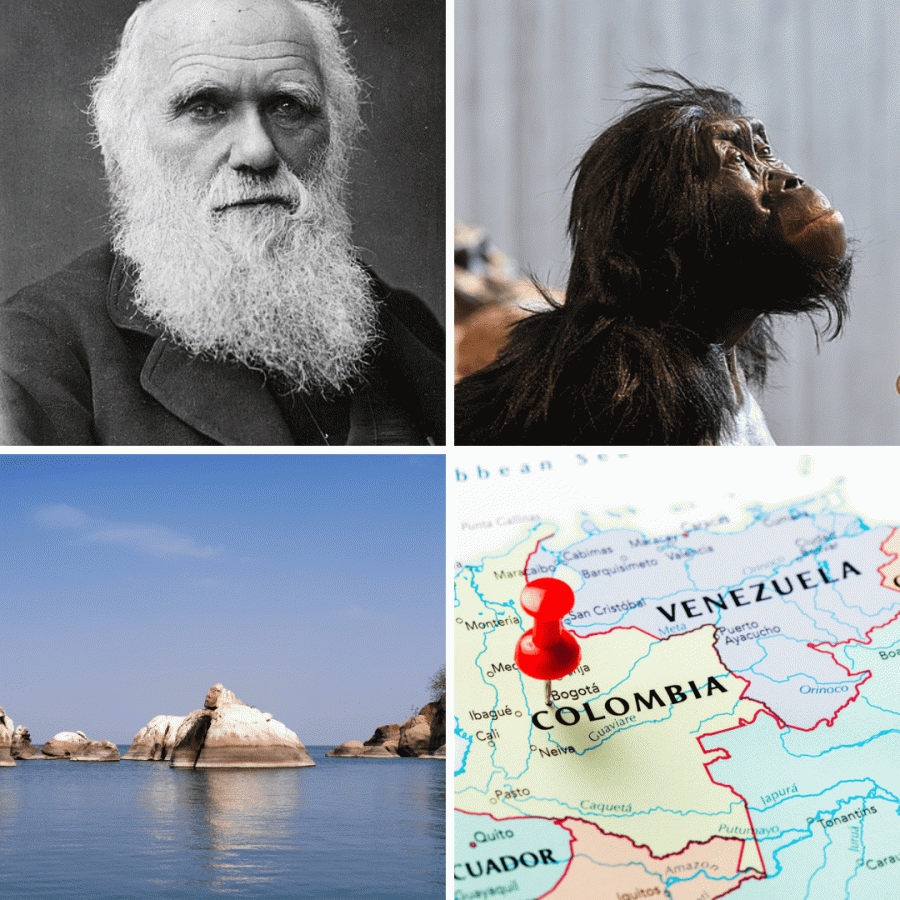 O que se comemora no dia 24 de novembro?