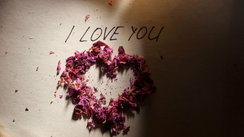 O verdadeiro significado de amar. Porque amar é mais que amar