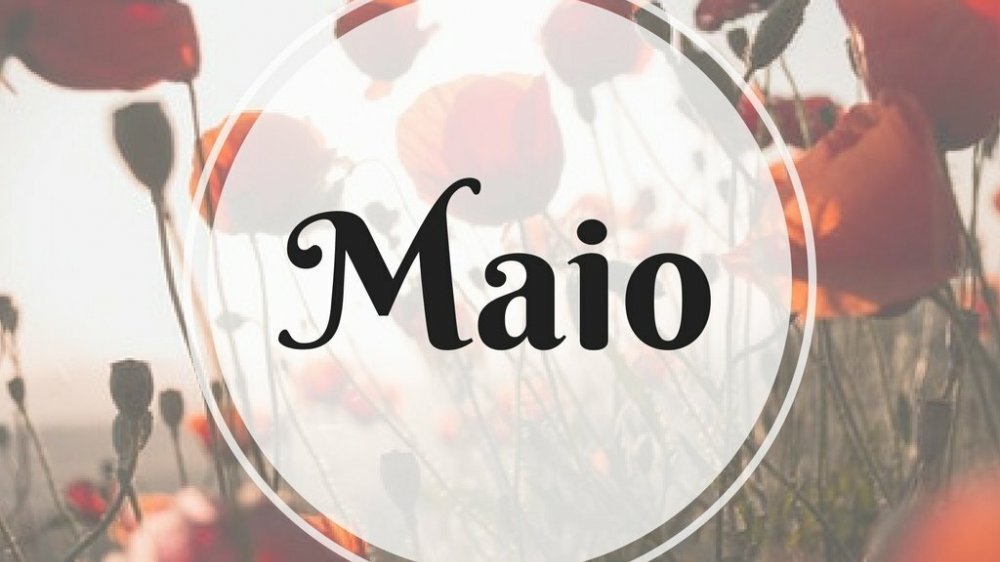 Mais um mês se inicia: encontre sua motivação!