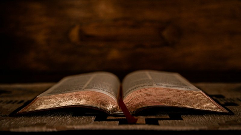 Evangelho do dia. Ilumine-se com a graça da palavra divina!