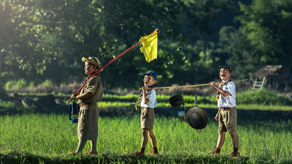 15 frases para celebrar o Dia do Boi e a pecuária brasileira