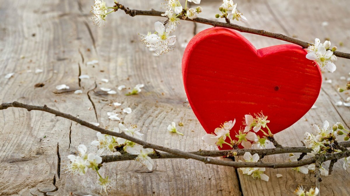 Amor e Frio. Frases dessa época do ano em que bate o friozinho!